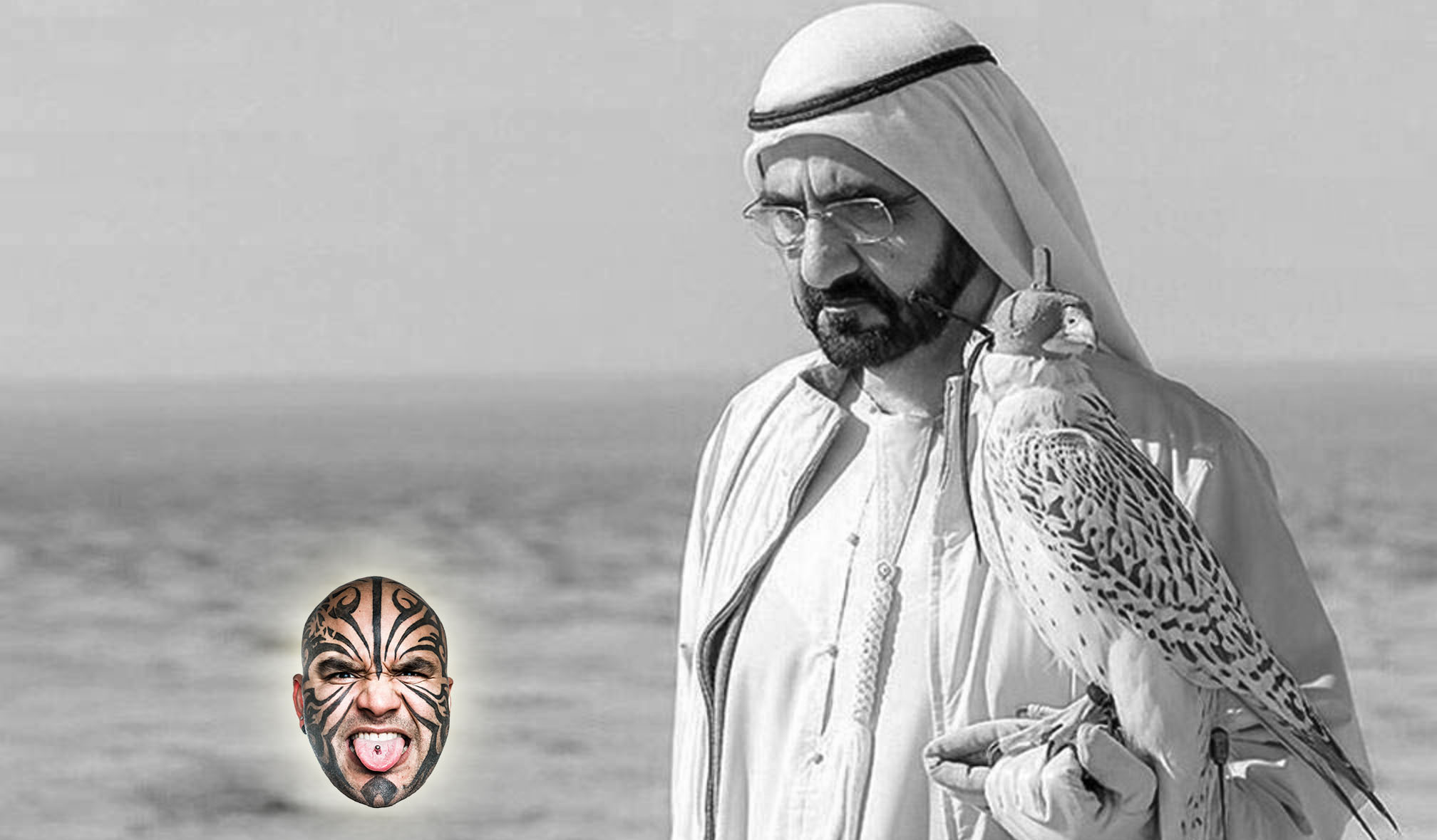 SHEIKH MOHAMMED – THE VISION BOOK REVIEW
